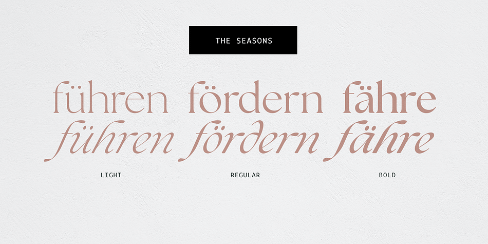 The Seasons Font