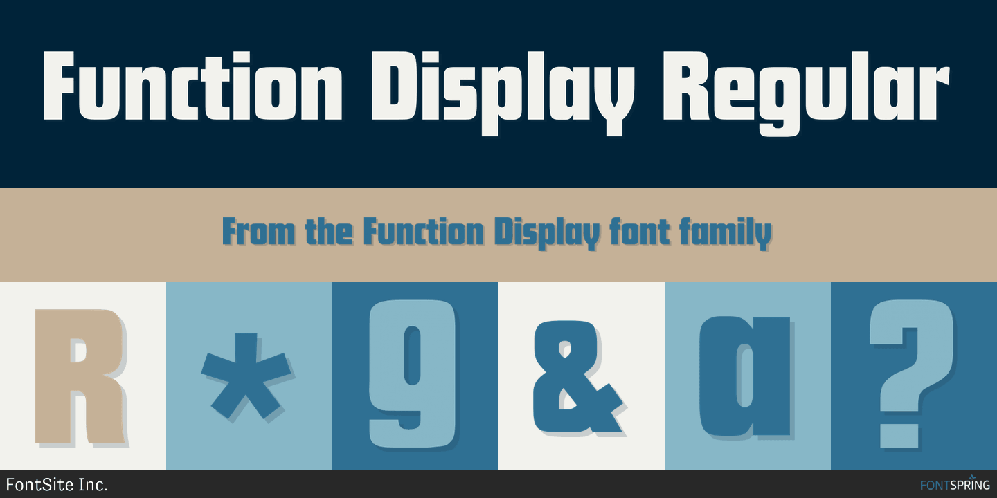 Function Display Font