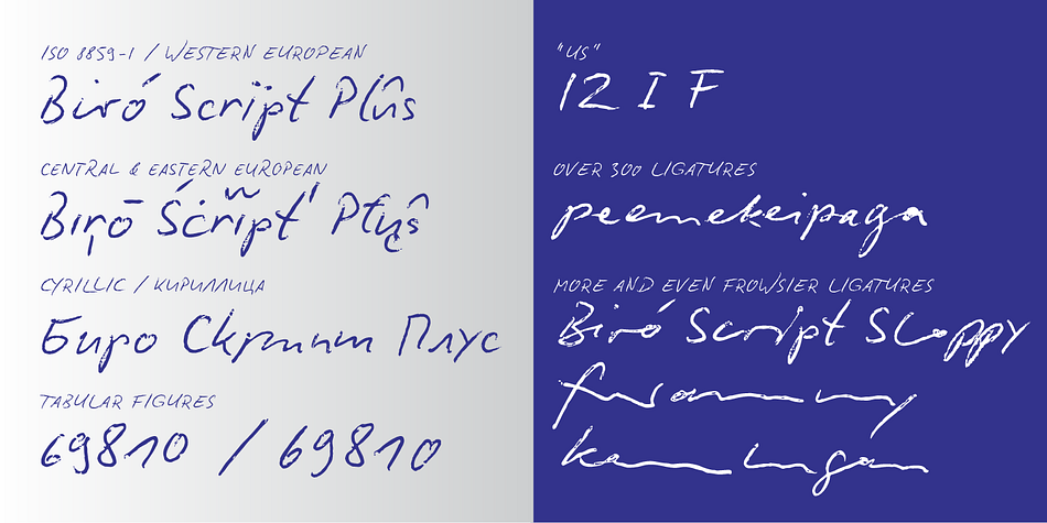 Biró Script Plus Font