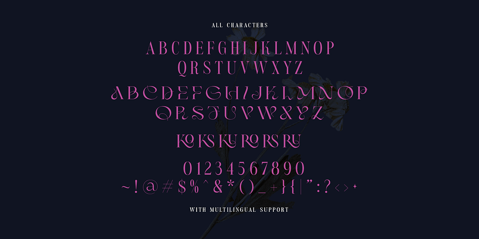 Rowan Font | Fontspring