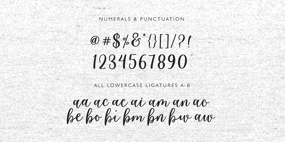 Cabelita Script Font
