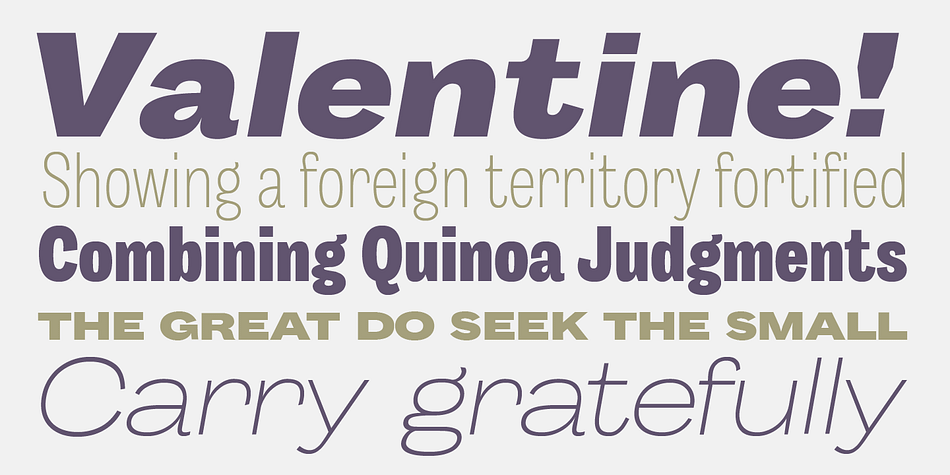 Body Font | Fontspring