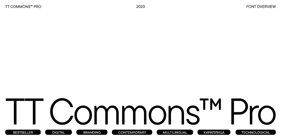 TT Commons Pro Font