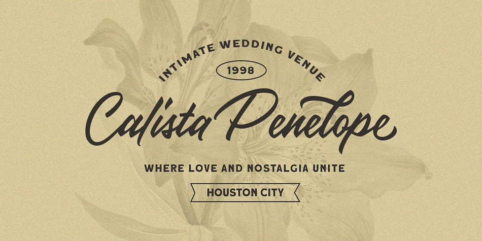 Thalia Threshold Font