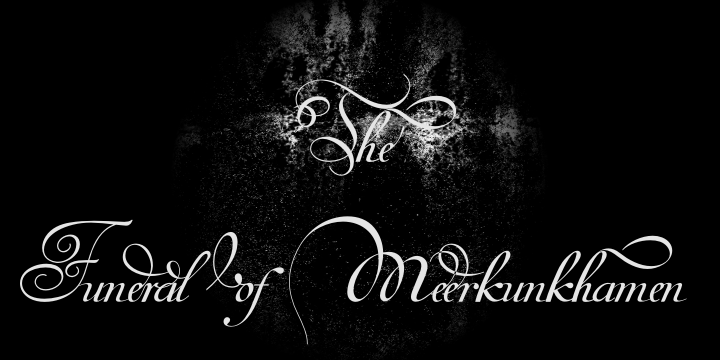 Van den Velde Script Pro Font