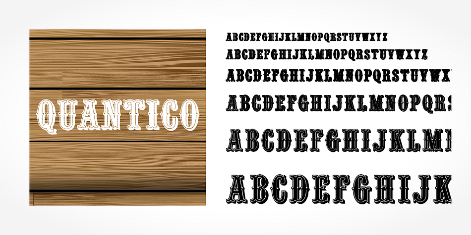 Quantico Pro Font