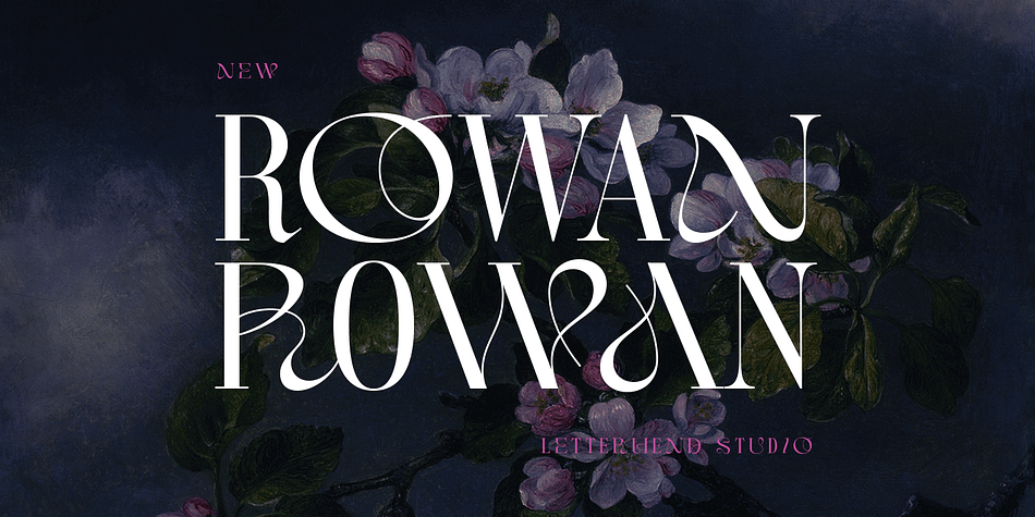 Rowan Font