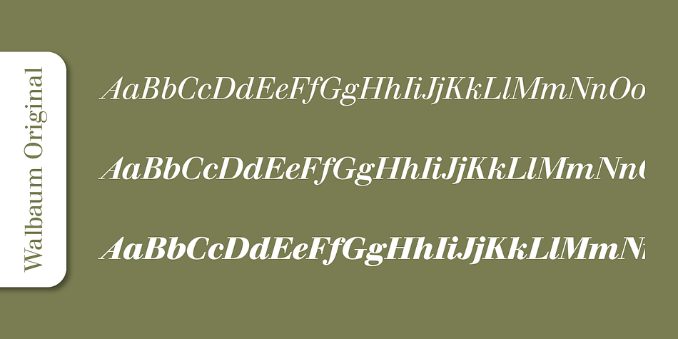Walbaum Original Pro Font