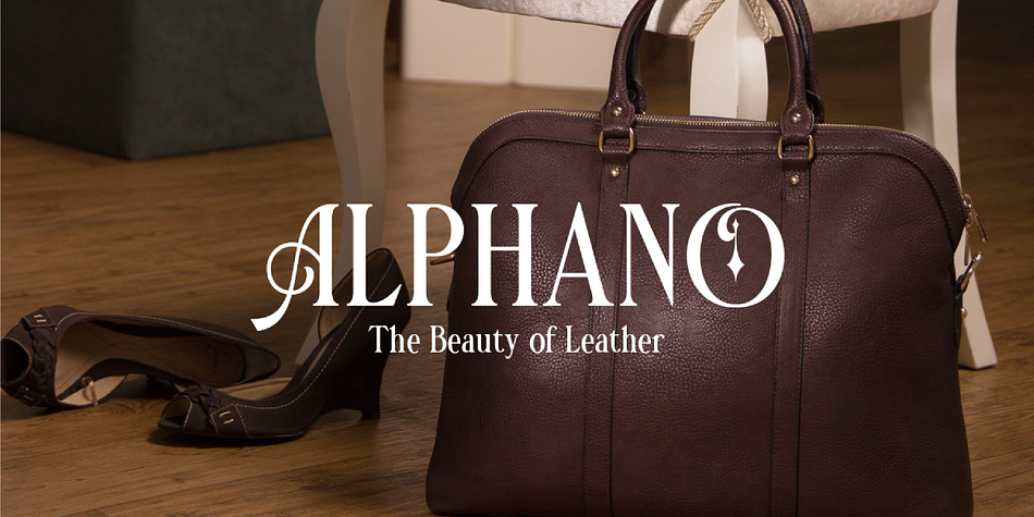 Danielle Harris Font