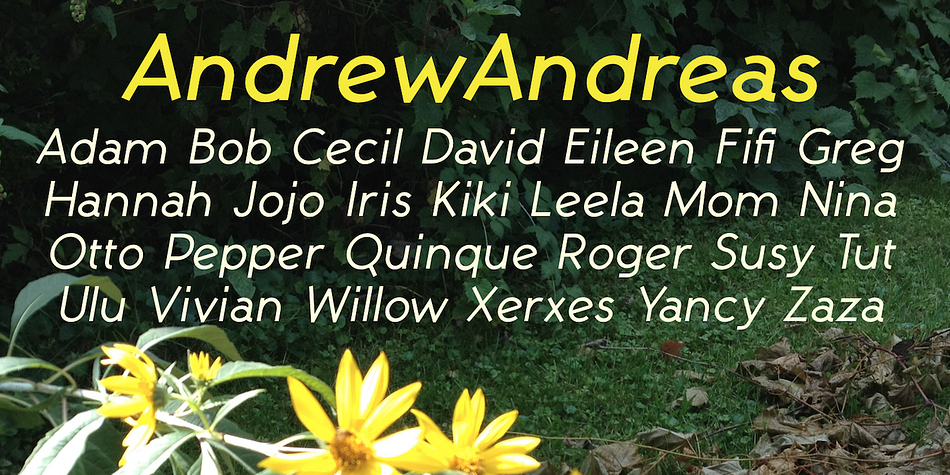 AndrewAndreas Font