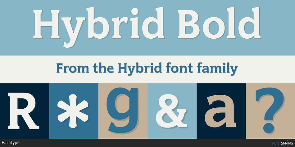 Hybrid Font