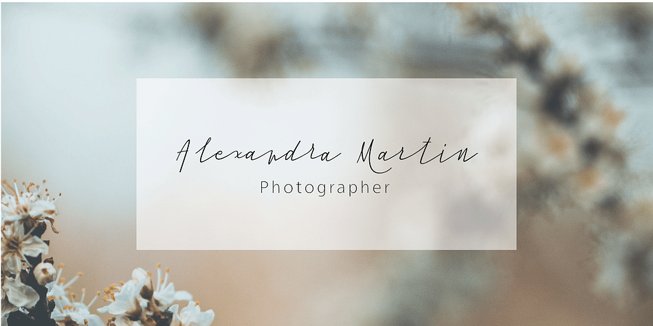 Cursive Signa Script Font