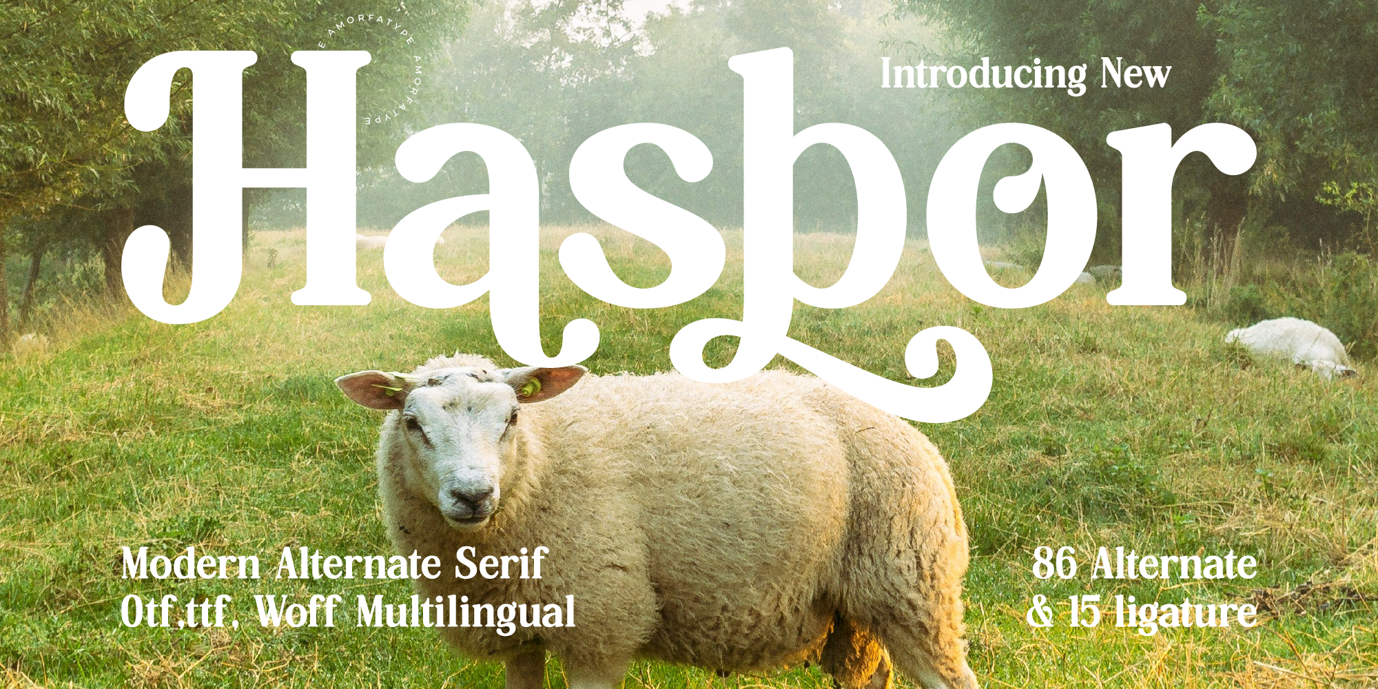 Hasbor Font