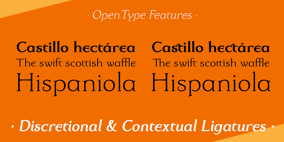 Dulcinea Serif Font