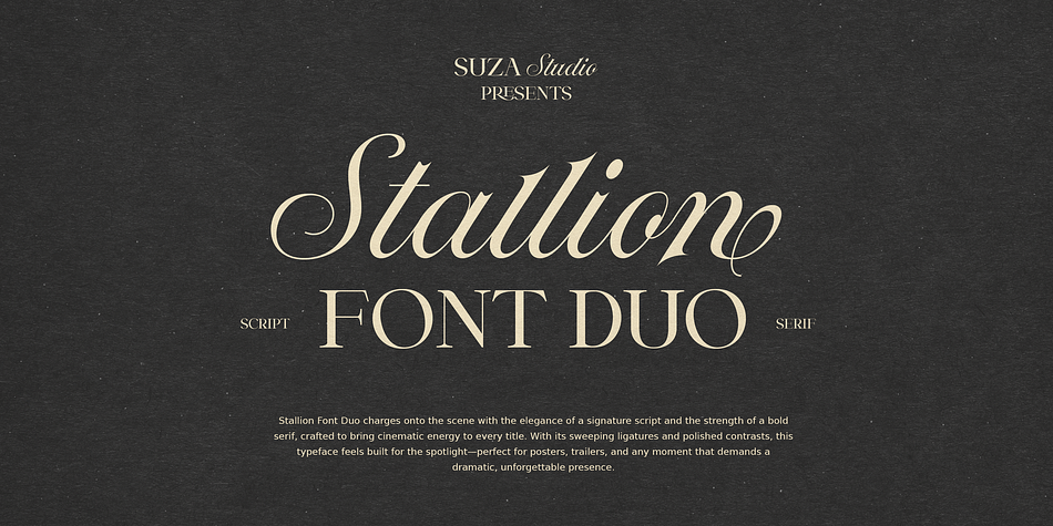Stallion Font Duo Font