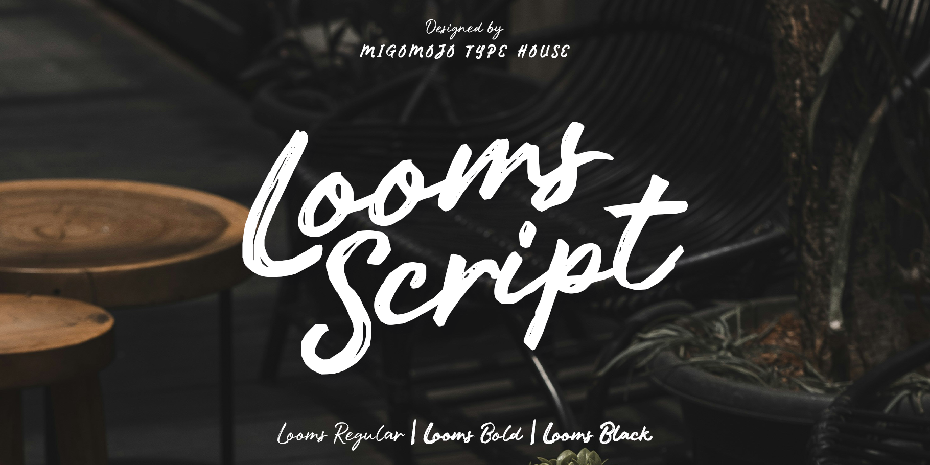 Looms Script Font