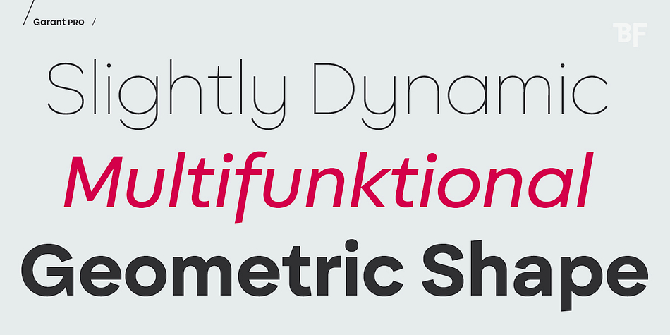 BF Garant Pro Font