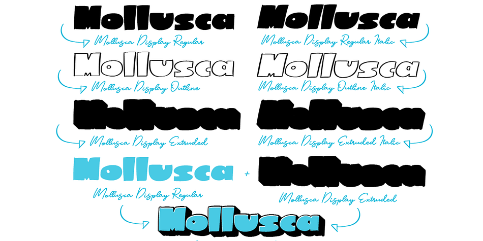 Mollusca Font