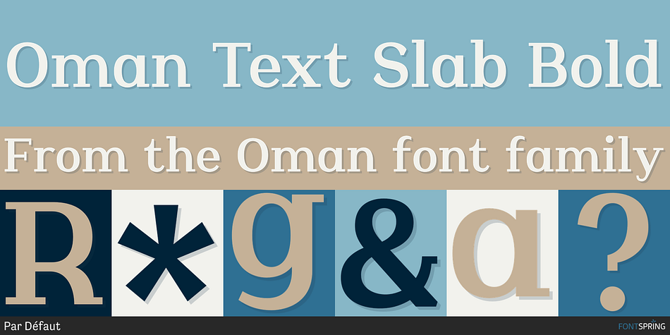 Oman Text Slab Bold Font