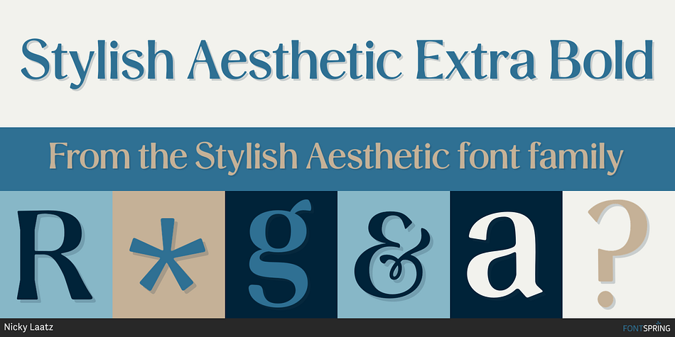 Stylish Aesthetic Extra Bold Font