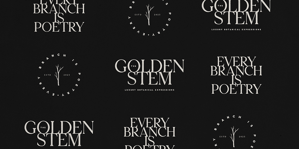 Bloryn & Typolio Font