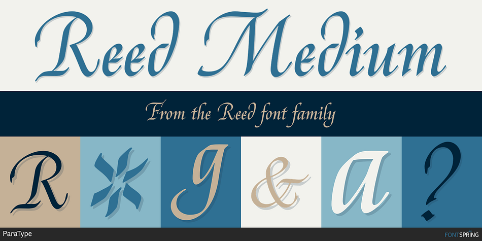 Reed Medium Font