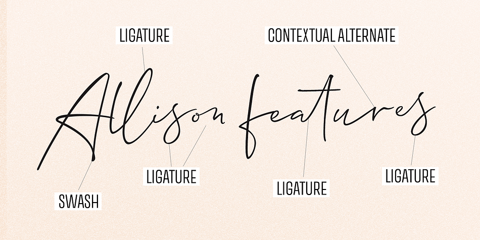 Allison Script Font