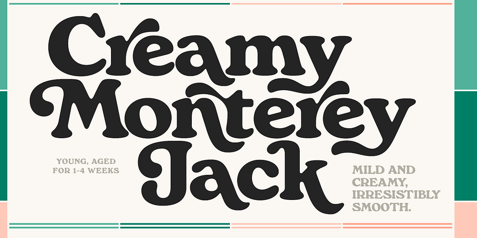 Monstera Font