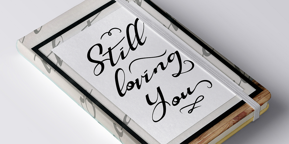 Feel Script Font