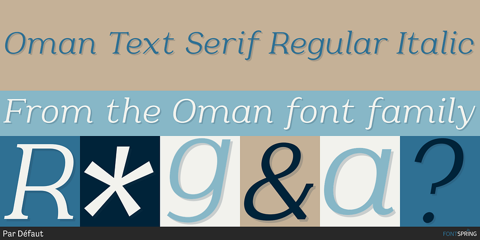 Oman Text Serif Regular Italic Font