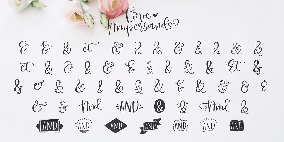 Roseroot Cottage Font Collection Font