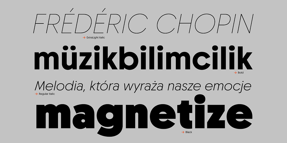Chopin Font