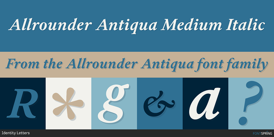 Allrounder Antiqua Medium Italic Font