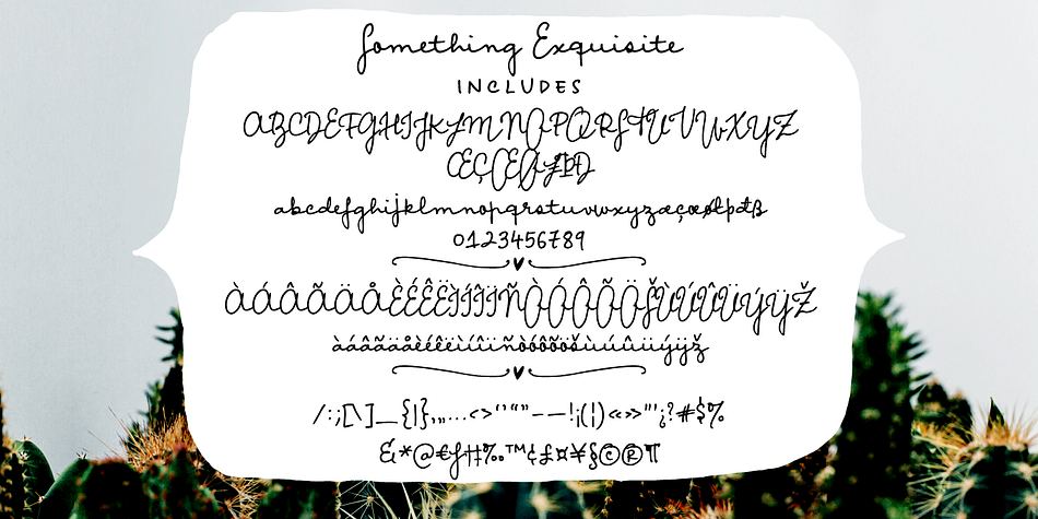 Something Exquisite Font