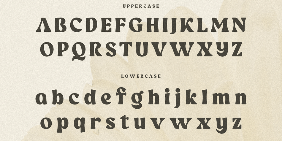 Ranking Font