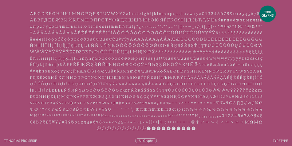 TT Norms® Pro Serif Font