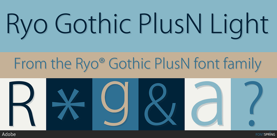 Ryo® Gothic PlusN Font