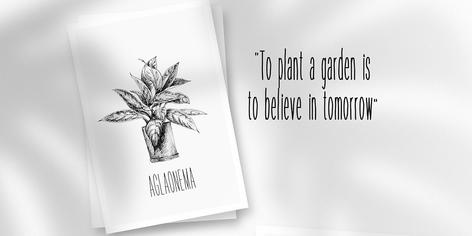 Luka Pro Font | Fontspring