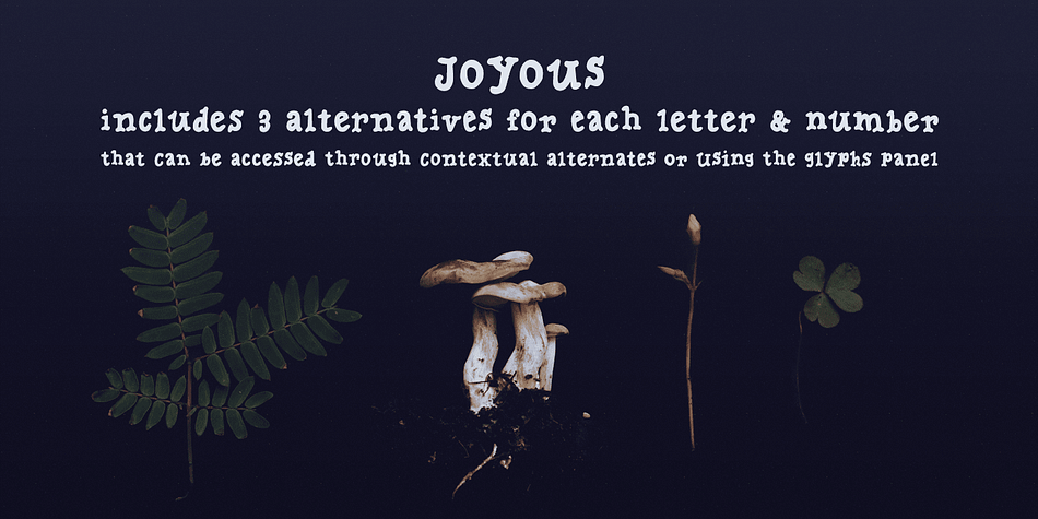 Joyous Font Family by Ana's Fonts - Fontspring