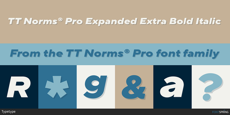TT Norms® Pro Expanded Extra Bold Italic Font