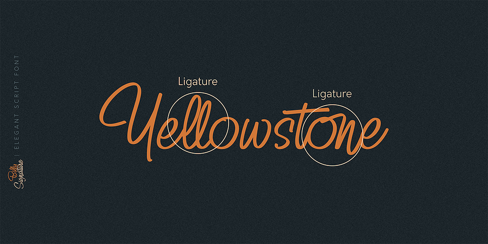Billy Signature Font