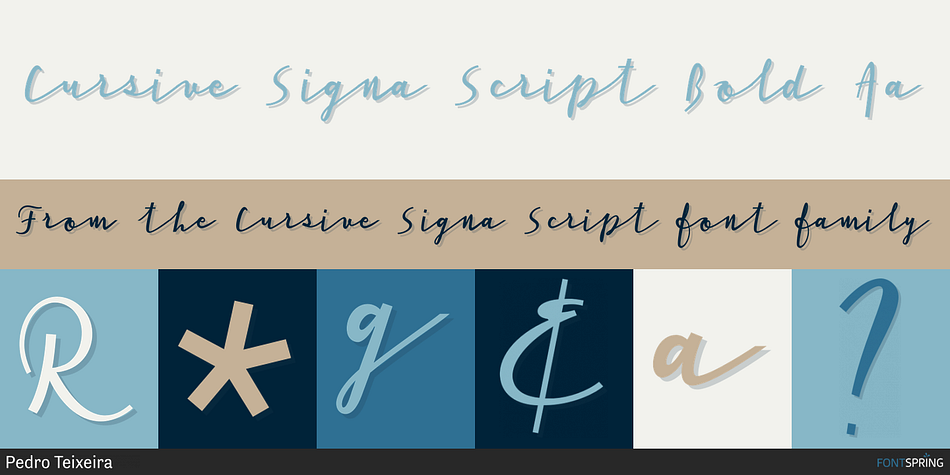 Cursive Signa Script Bold Aa Font