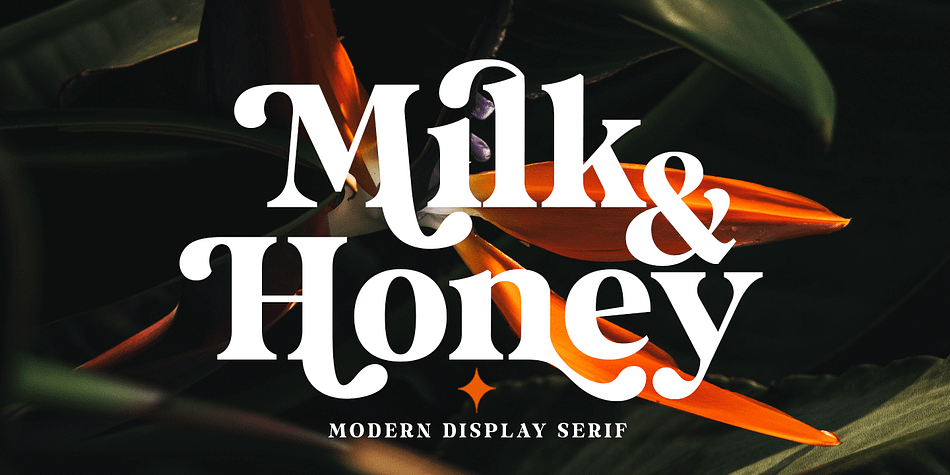 Milk and Honey Font