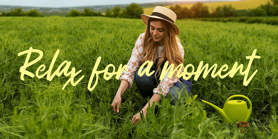 Anatomi Font Family by Gatype - Fontspring