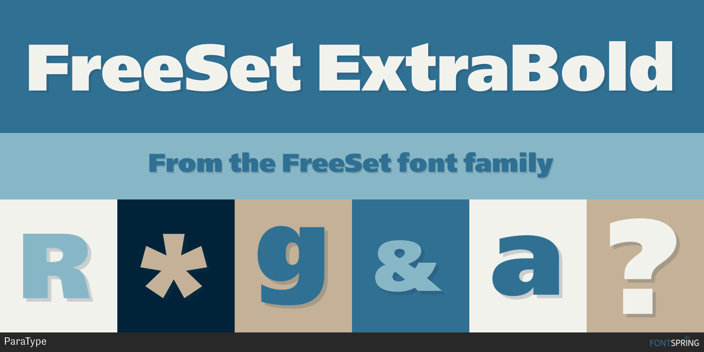 FreeSet Black Font Collection by ParaType - Fontspring