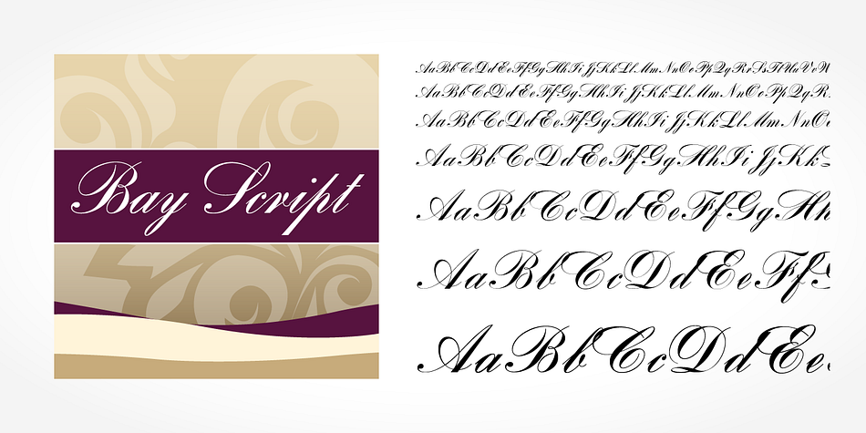 Bay Script Pro Font