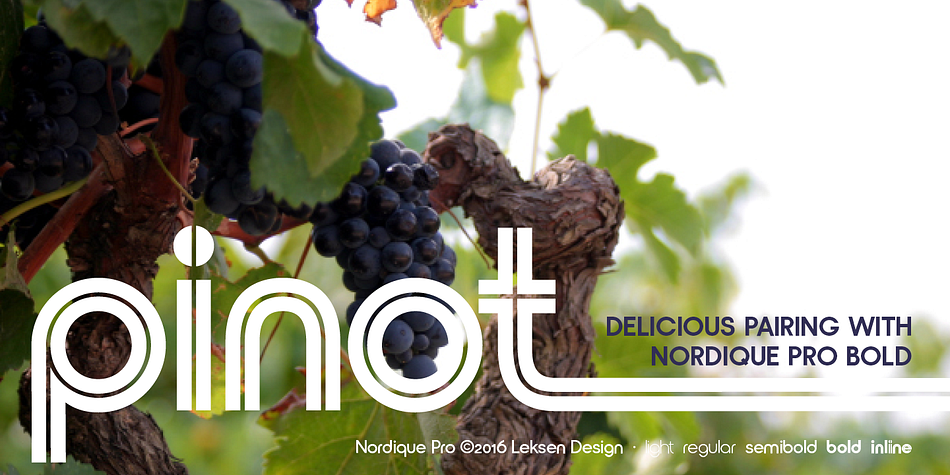 Nordique Pro Font