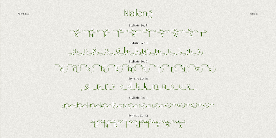 Mallong Font