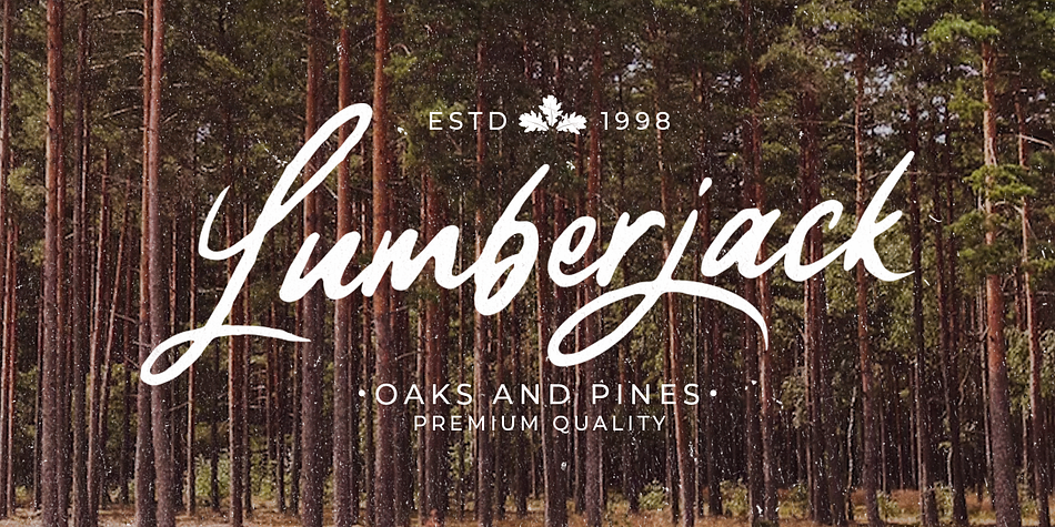 Timberland Font