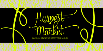Mercury Script Font